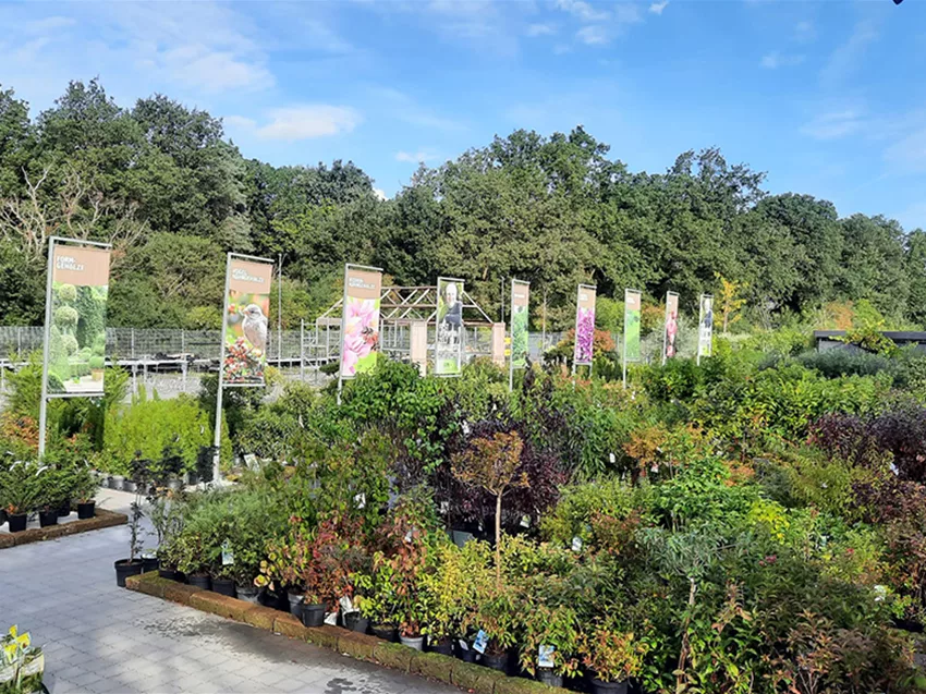 Sträucher, Gehölze, Bäume: Baumschule bei Erftstadt, Düren
