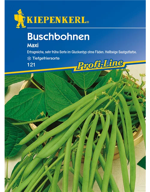 Buschbohnen Maxi, Kiepenkerl 121 - Pflanzenwelt Schaar
